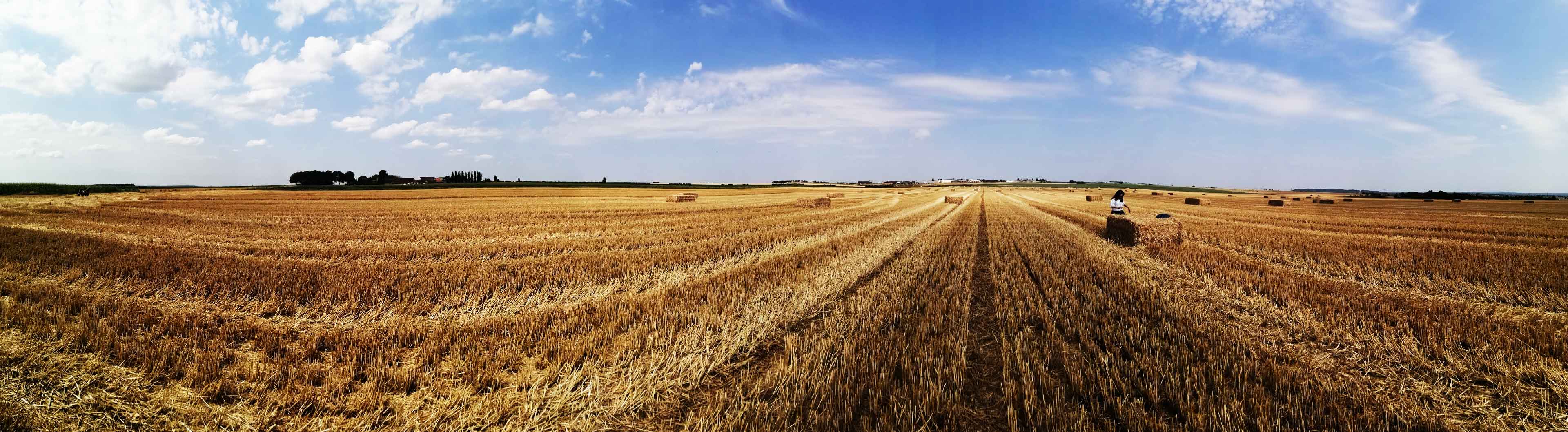 Lightspeed CV - Boris Borgobello